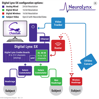Neuralynx 128通道Digital Lynx 4SX